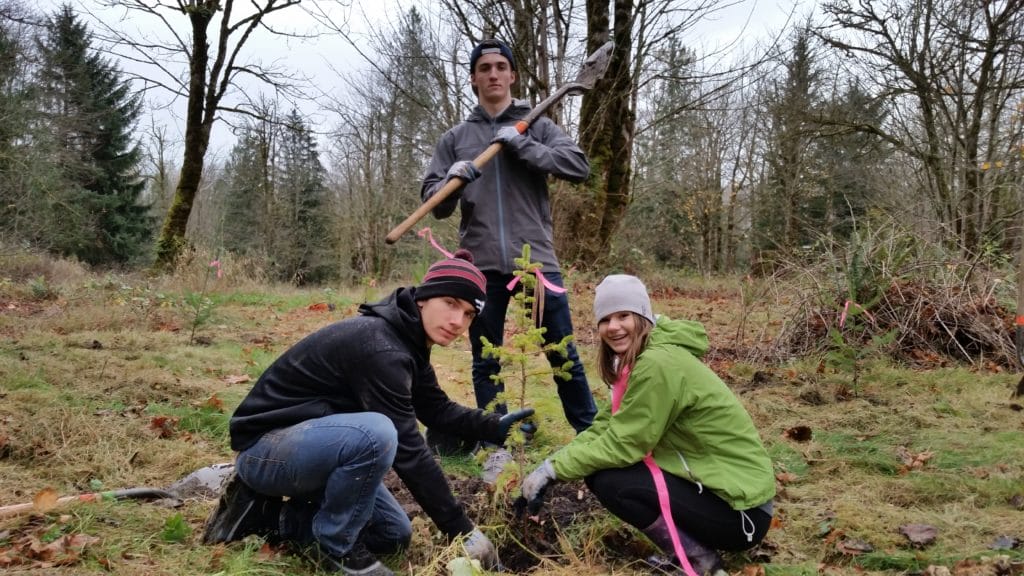 REI Restoration in Issaquah - Mountains To Sound Greenway Trust