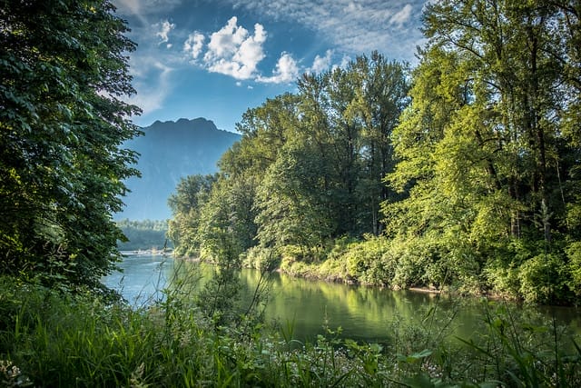 Carnation Historic Walking Tour - Mountains To Sound Greenway Trust