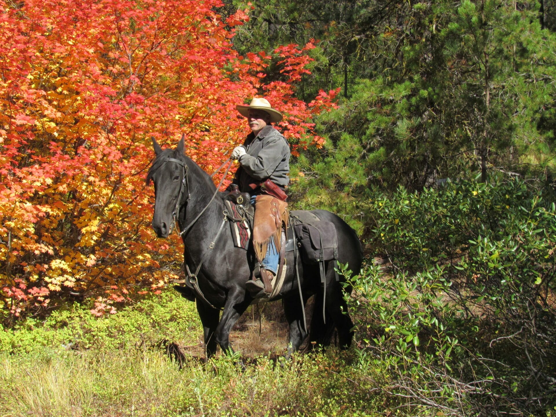 TCF - Scott McDermott - Mountains To Sound Greenway Trust