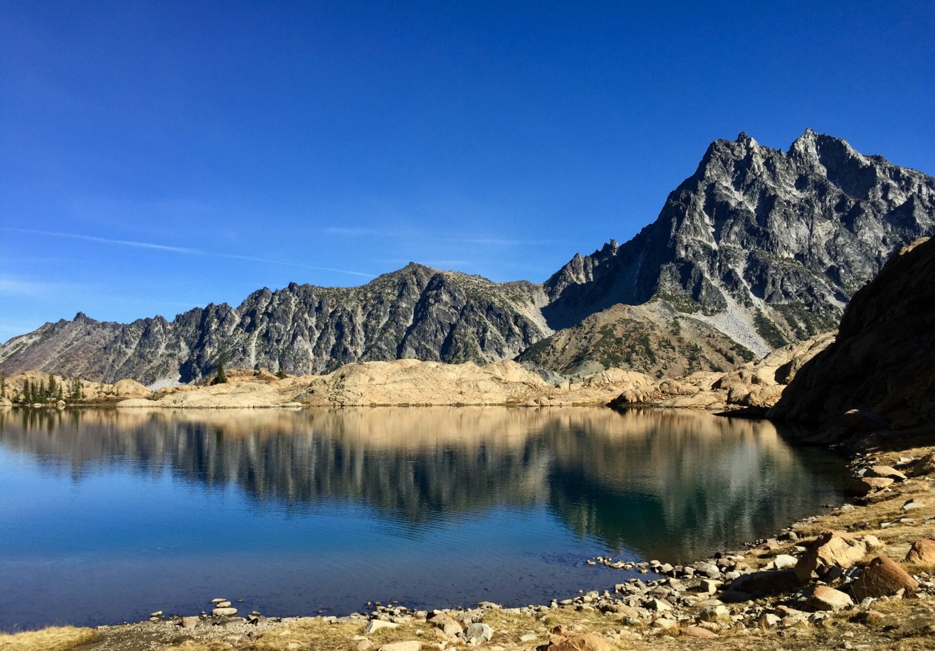 Teresa Hall - Mountains To Sound Greenway Trust