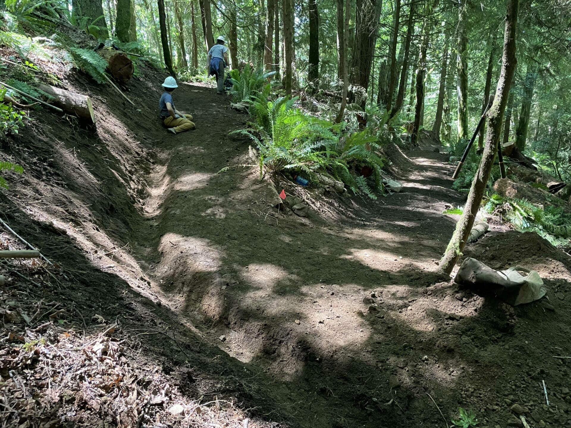 Poo Poo Point Hike Trail Reroute - Mountains To Sound Greenway Trust
