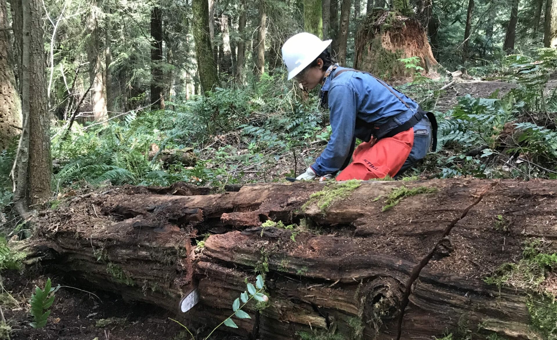 PooPooPoint - Mountains To Sound Greenway Trust