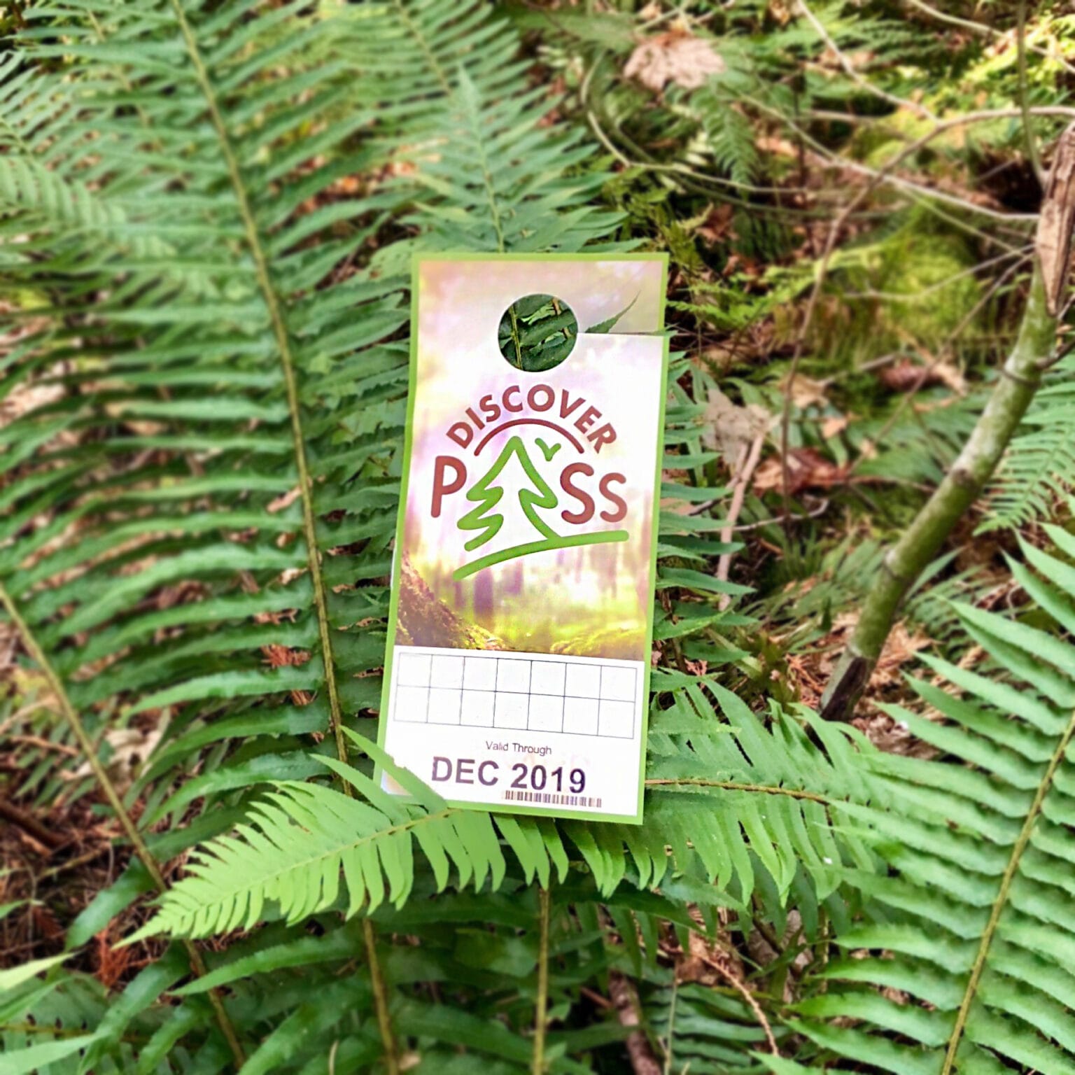 Discover Pass, NW Forest Pass & More - Mountains to Sound Greenway Trust