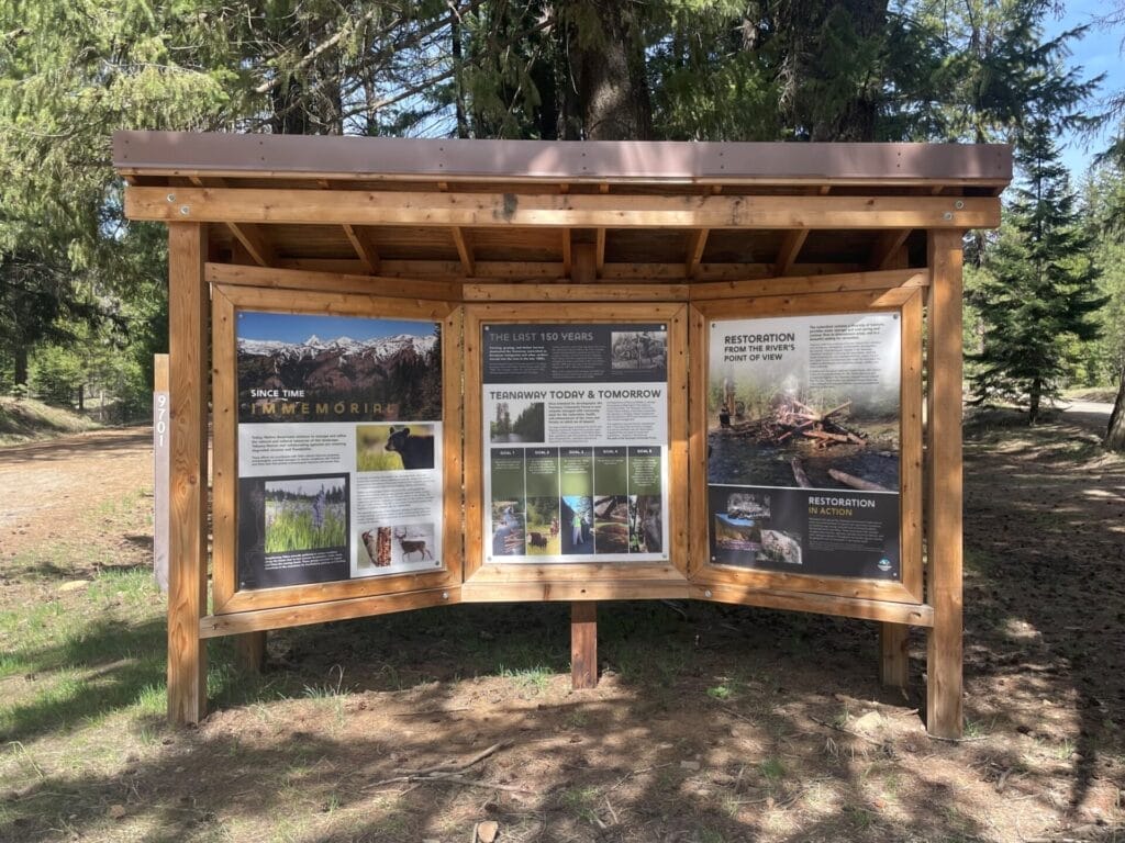 29 Pines Campground - Mountains To Sound Greenway Trust