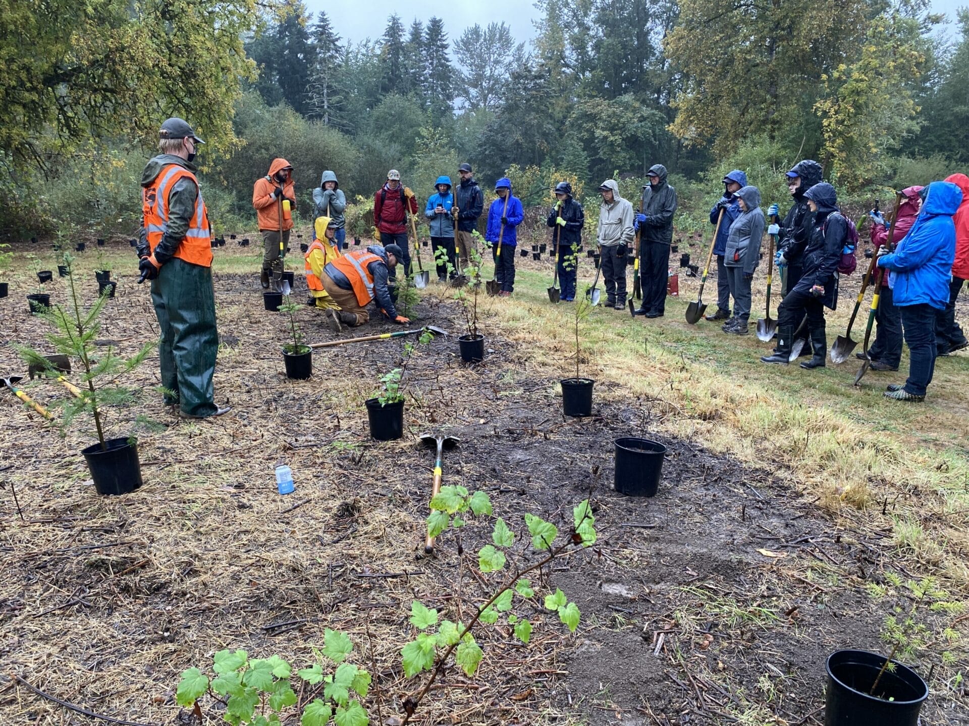 A Return to the Beloved Tree Planting Celebration - Mountains To Sound ...
