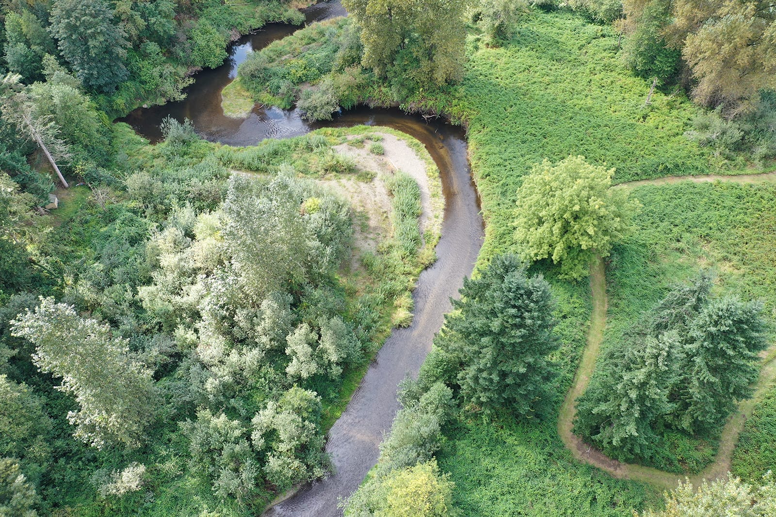 Thrive Communities at C10 Day 1 - Mountains To Sound Greenway Trust