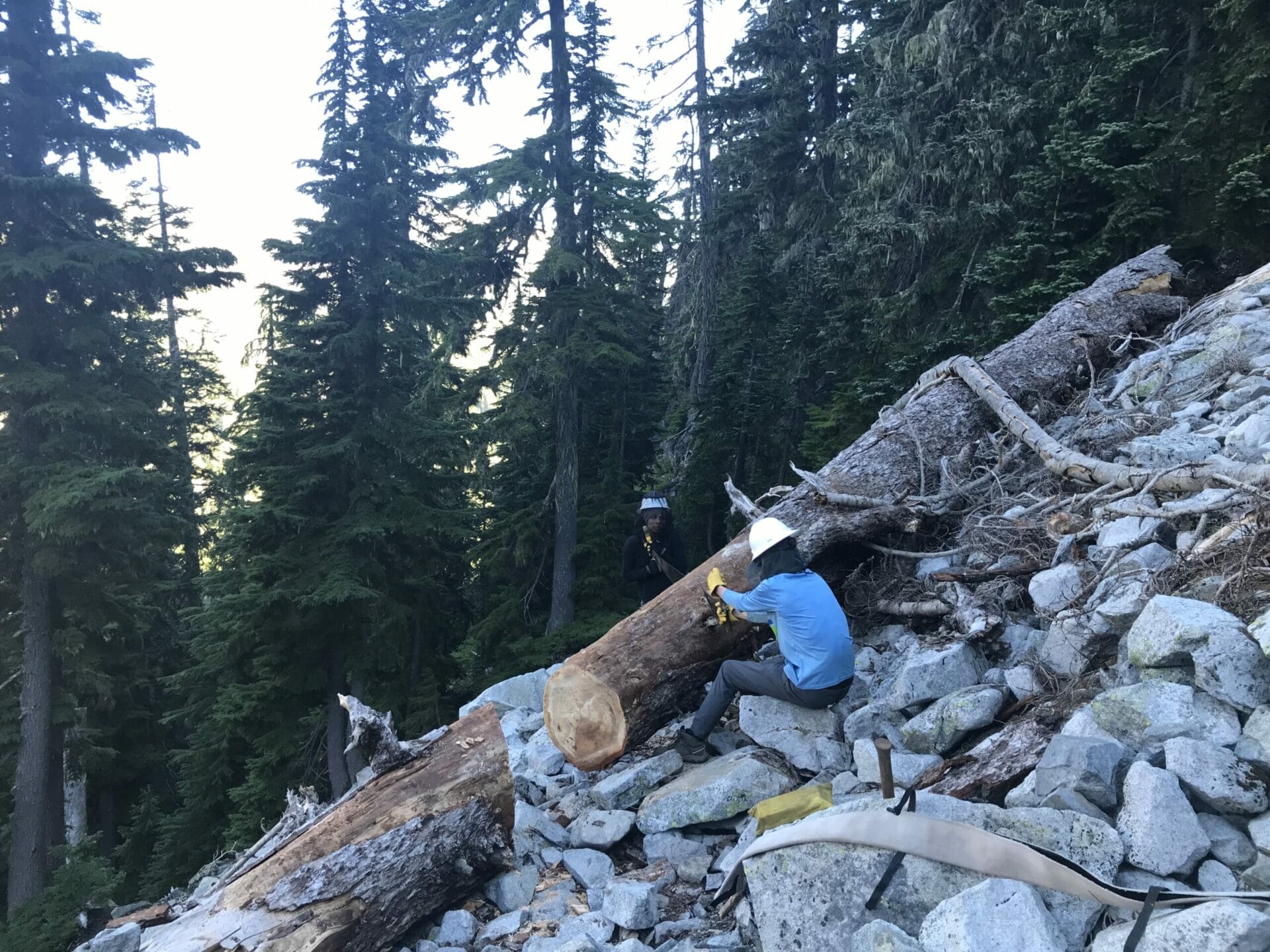 What It Takes to Restore 10 Miles of Trail in 8 Days - Mountains To ...