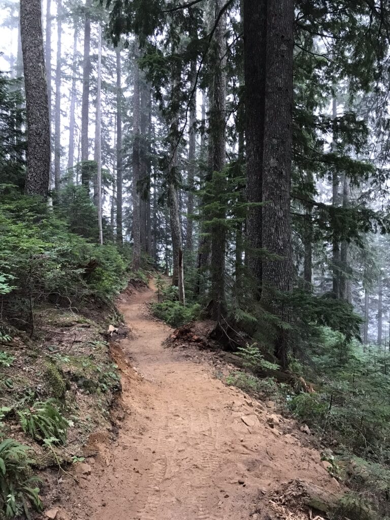 The Annette Lake Trail Project: A Path to Sustainability - Mountains To ...