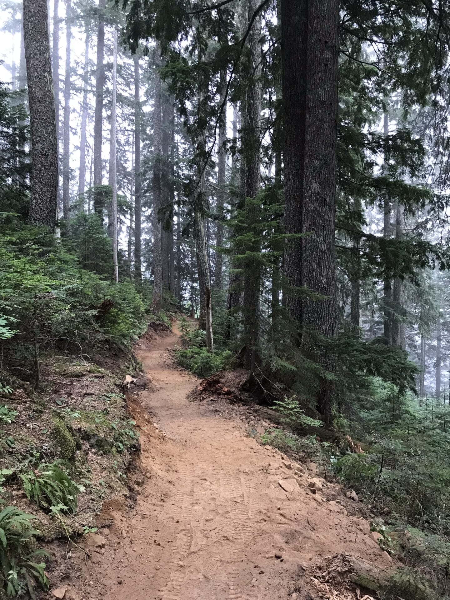 The Annette Lake Trail Project: A Path to Sustainability - Mountains To ...