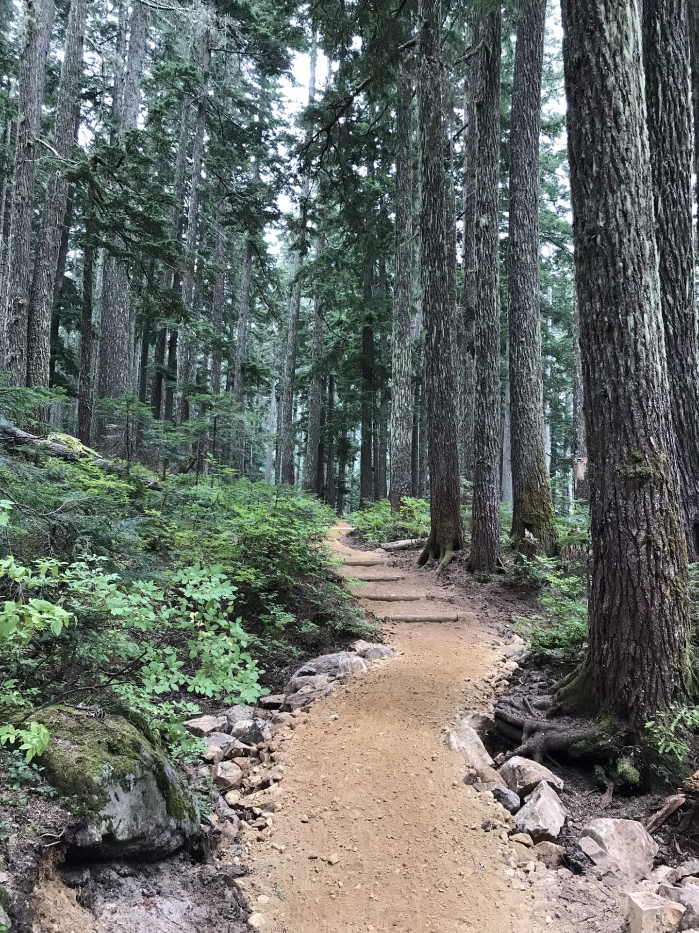 The Annette Lake Trail Project: A Path to Sustainability - Mountains To ...