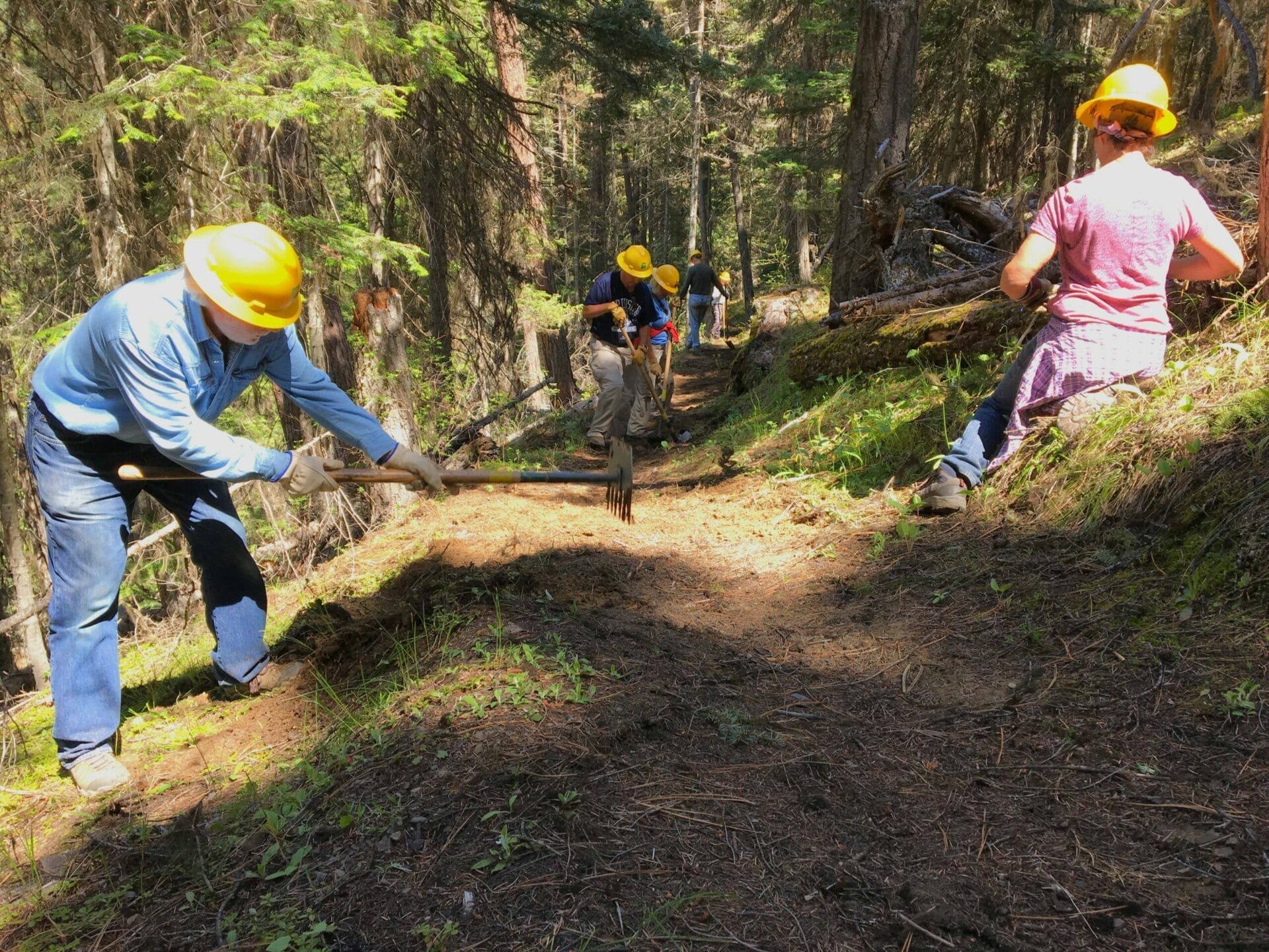 Brushing and Tread Work - Mountains To Sound Greenway Trust