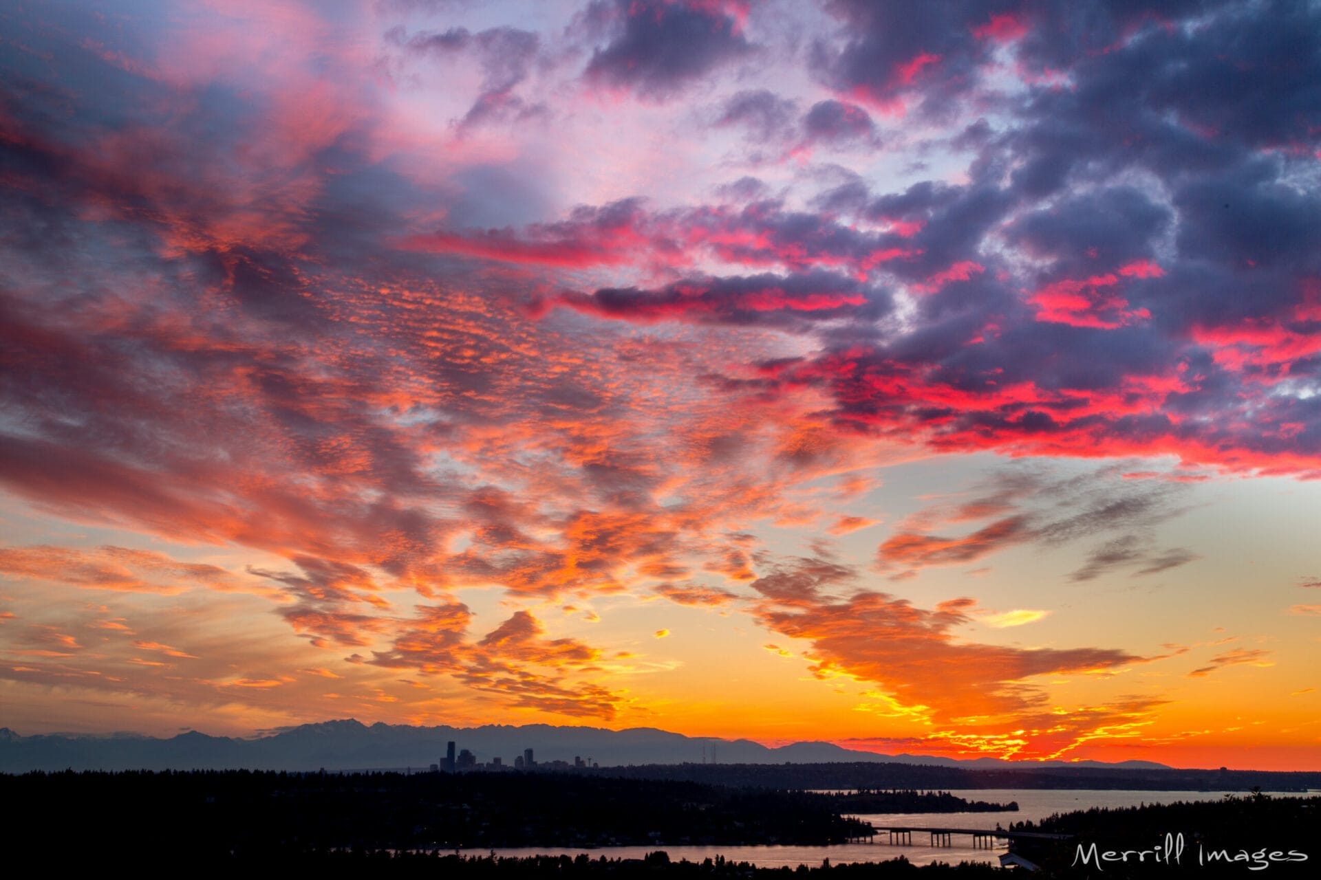 Environmental Nonprofit in Seattle - Mountains to Sound Greenway Trust