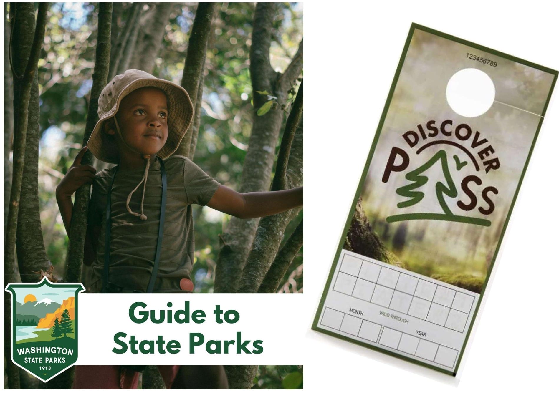Discover Pass Packets - Mountains To Sound Greenway Trust
