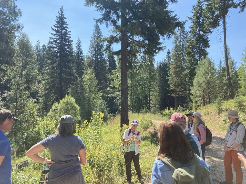 Weeds Workshop, Teanaway Community Forest - Mountains To Sound Greenway ...