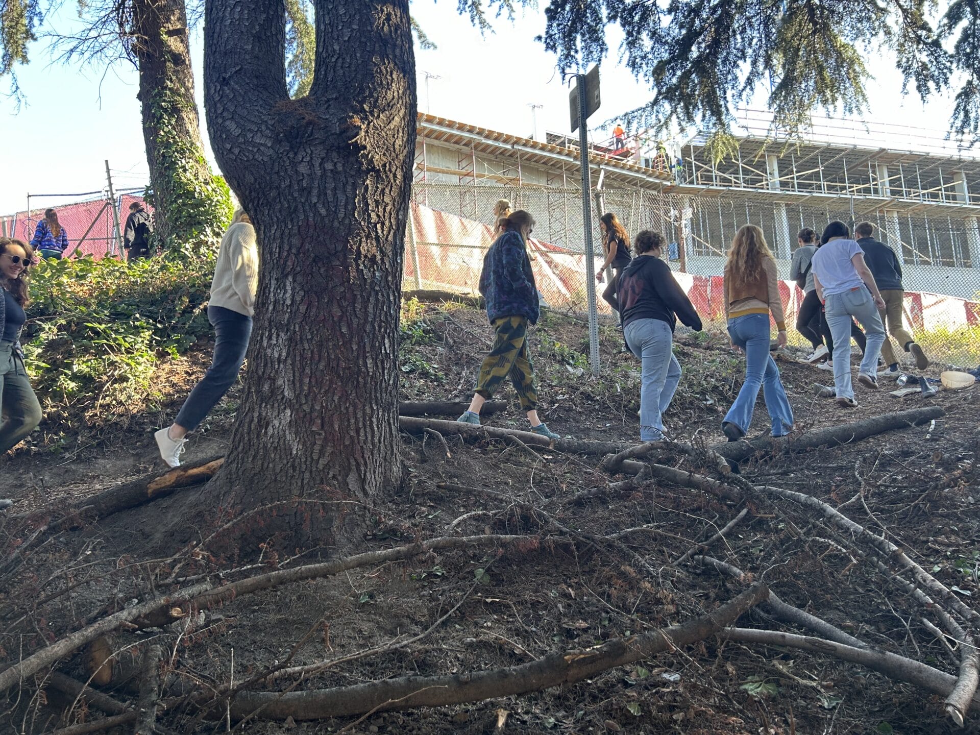 Creating Yes Forest: A Pathway to an Urban Farm in Seattle - Mountains ...