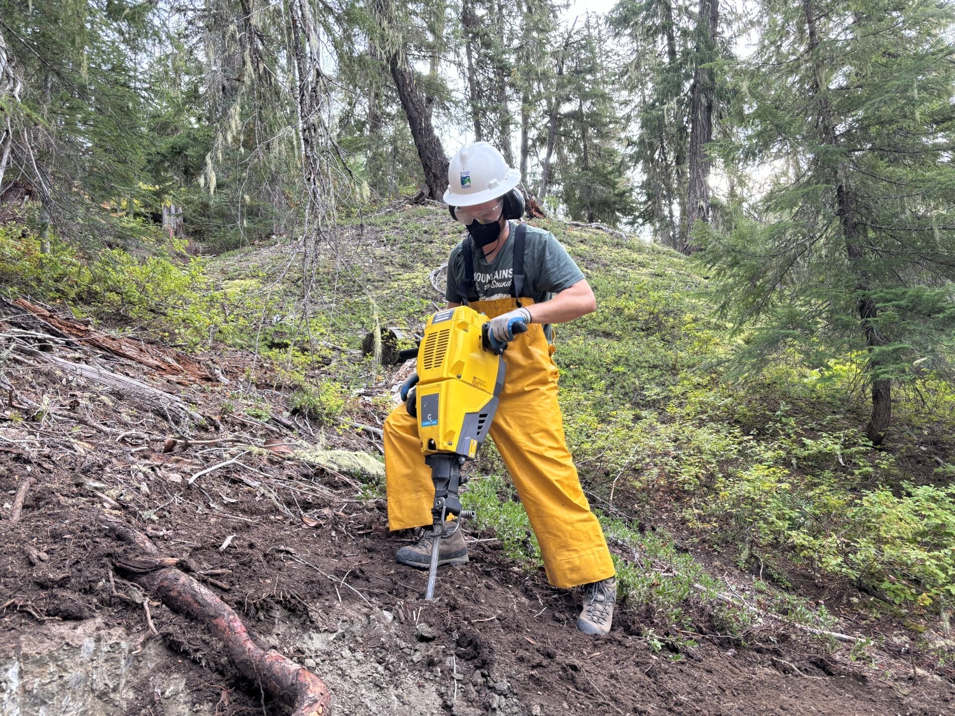 How To Coexist with Beavers: A Q&A With Beavers Northwest - Mountains ...