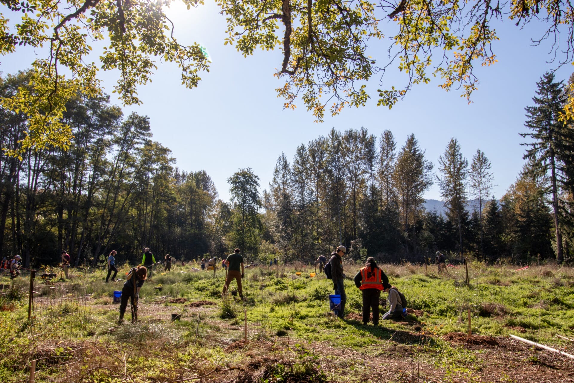2024 Tree Planting Celebration - Mountains To Sound Greenway Trust