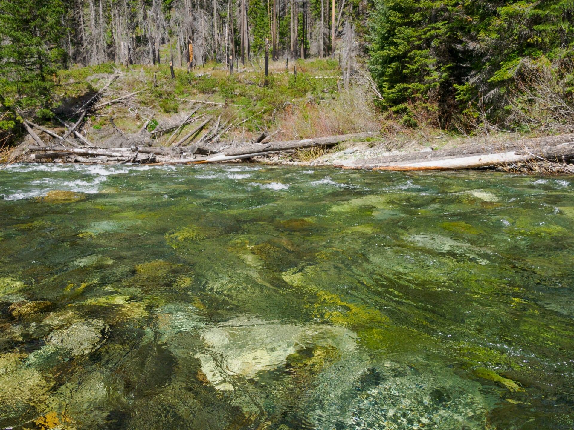 Resilience Film Festival - Mountains To Sound Greenway Trust
