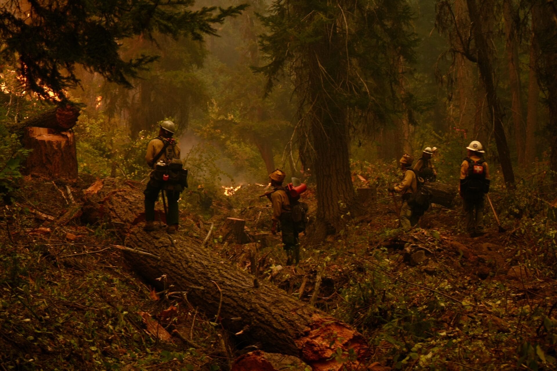 Applying the Breaks: How Wildfire Resilience Work Curbed the Labor ...